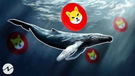 Shiba Inu Shib Whales Moved 5 Trillion Tokens Across Unknown Wallets