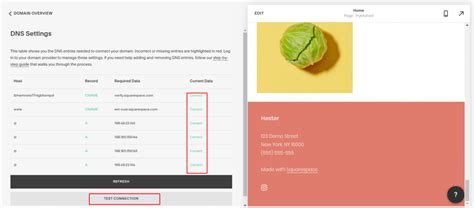 custom domain ke squarespace melalui clientzone rumahweb