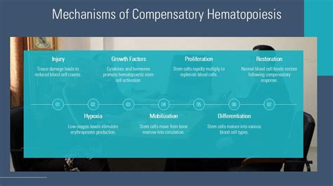 Compensatory Hematopoiesis Ppt Sample Acp Ppt Sample