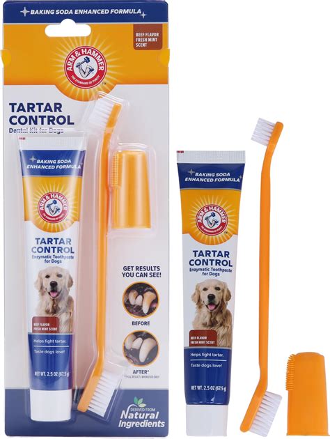 Why Does Dog Toothpaste Have Sorbitol At James Glassman Blog