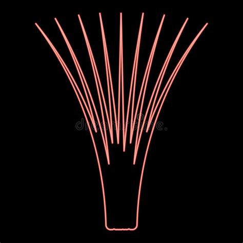 Neon Edible Grass Lemongrass Cymbopogon Citratus Spices Vegetable