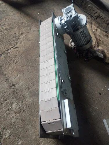 Stainless Steel Roller Conveyor Material Grade 304 Capacity 100 Kg