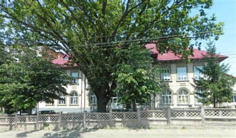 Dorohoi News Dh News Stiri Dorohoi Botosani Sc Conted Sa