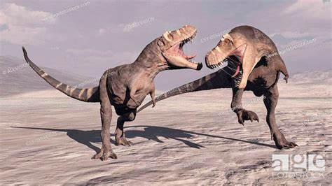 Tyrannosaurus Rex Fighting