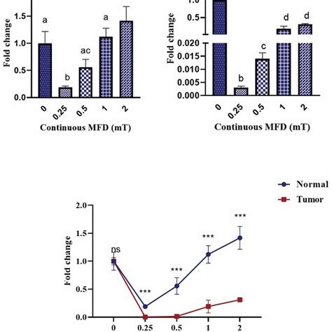 Comparison Of Mtor Expression Levels In Normal And Tumor Cells In