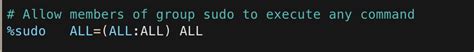 sudo 명령어 권한 확인해보기