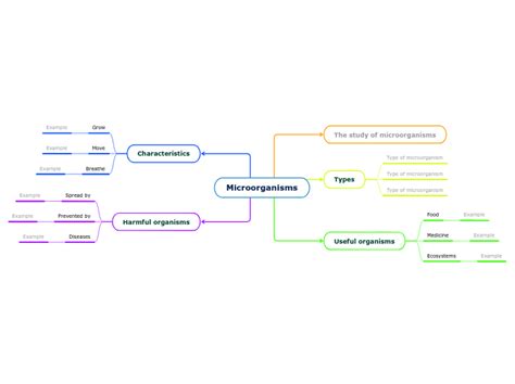 Microorganisms Mind Map Types And Uses