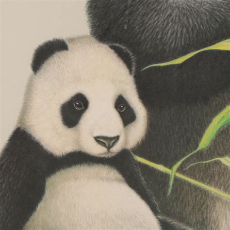 Jim Oliver Offset Lithograph Giant Pandas Ebth