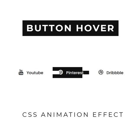 Css Button Hover Animation