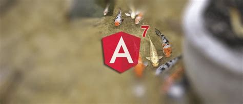 Angular 7 Tutorial Building Crud Web Application R Learnjavascript