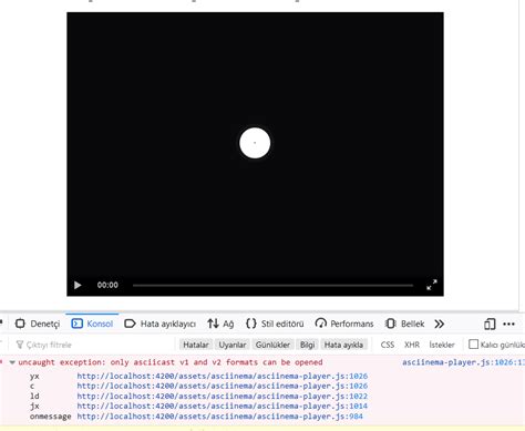 uncaught exception only asciicast v1 and v2 formats can be opened