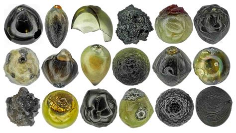 Shooting Stars How To Find Micrometeorites In Your Backyard Rs Science