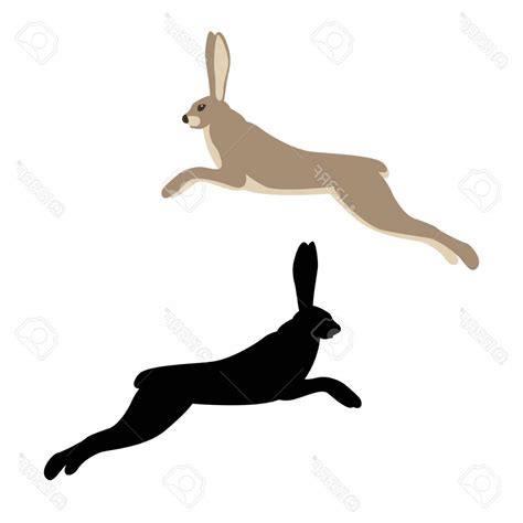 Hare Vector At Collection Of Hare Vector Free For