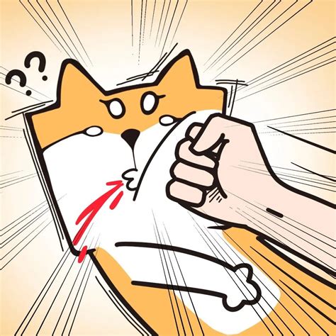 猫和狗在主人眼中的样子 搜狐大视野 搜狐新闻