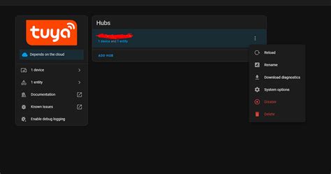 Tuya Api From Ha Only Pulling Entity On Device Configuration Home
