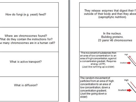 Revision Flash Cards For Igcse Single Science Teaching Resources