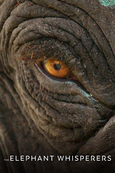 Elephant Movie Poster