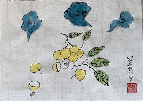 澳大利亚陈冠睿参赛作品龙眼 绘画作品 第五届海外华裔中小学生书画征文摄影华语演讲大赛