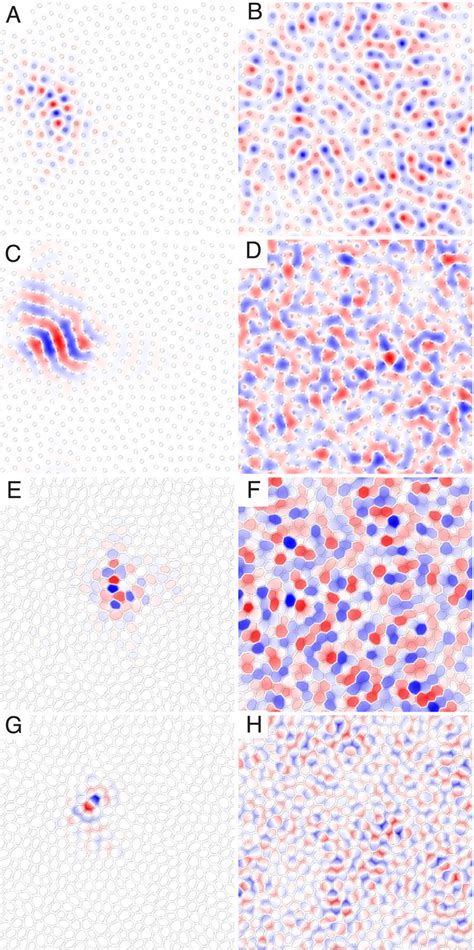 Electromagnetic Field Distribution In Hyperuniform Disordered
