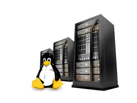 Linux Web Hosting In New Delhi ID