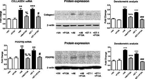 Messenger Rna Expression Of Collagen I And Pdgfr ␤ By Real Time Pcr In Download Scientific