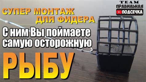 Фидерная оснастка за 30 секунд.Топовые монтажи на все случаи жизни ...