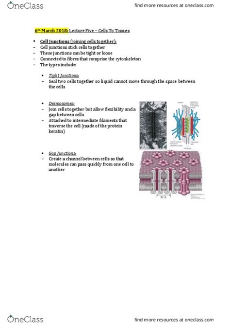 Biol108 Lecture 2 Cells To Tissues Oneclass