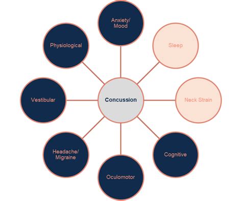Getting Your Head Right After A Concussion Neurological Physiotherapy Geelong