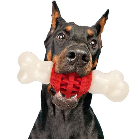 Are Big Bones Bad For Small Dogs