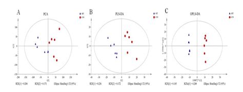Principal Component Analysis A Corresponding Pls Da Validation Plots