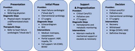 Shock Team Phases The Management Of Patients In Cardiogenic Shock Has