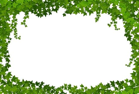 Ivy Lianas Frame Vector Border With Climbing Vine向量圖形及更多常春藤圖片 常春藤 地理
