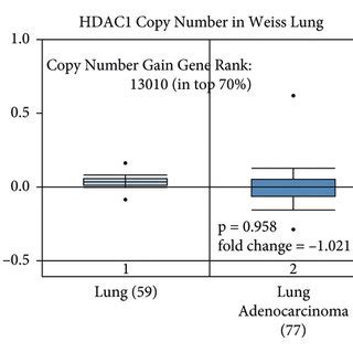 DNA Copy Number And MRNA Levels Of HDAC1 In LUAD The DNA Copy Number