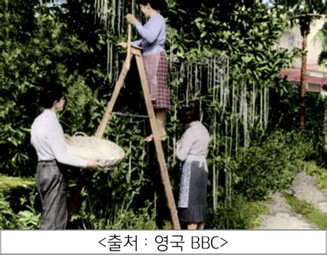 가장 쉽게 만우절 유래 장난 역사