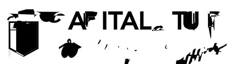 December 2025 Collection Capital Stud