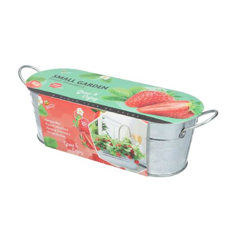 Small Garden Zinken Teil Aardbei Tuinvoldierennl