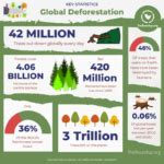 How Many Trees Are Cut Down Every Day 2025 TheRoundup