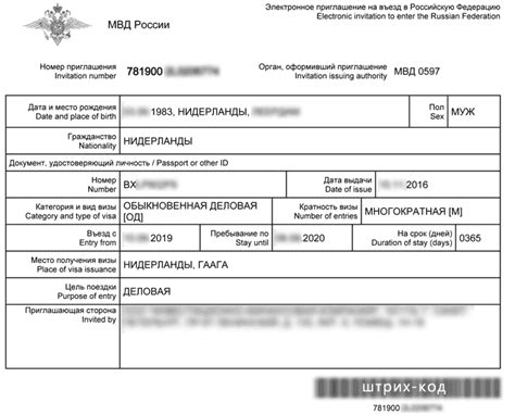 Визовая поддержка приглашения для въезда в Россию
