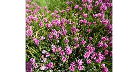 Приемът на документи по европейската програма Life започва през юни Български Фермер