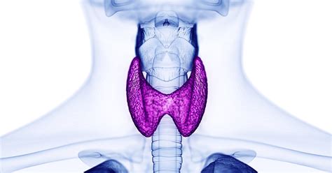 Hyperthyroidism Endocrine Society