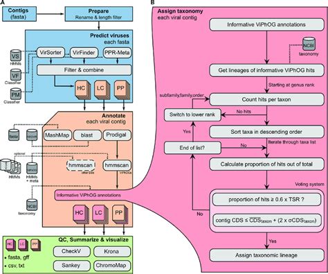 Overview Of The Virify Pipeline A Starting From A Set Of Contigs Download Scientific Diagram