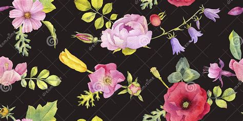 水彩绘花 库存例证 插画 包括有 百合 庭院 装饰品 图象 红色 图画 例证 绽放 颜色 179851692
