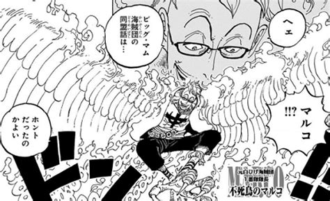 ワンピース考察｜マルコの懸賞金確定！強さは四皇幹部最高峰で45歳のミドルエイジ！ マンガ好きcom