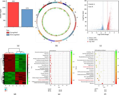 Transcriptomic Analysis In The Figure A And B Represent The Control