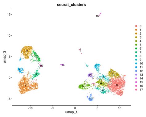 Same Seurat Code On Same Dataset On Two Different Computers Gets Completely Different Umap