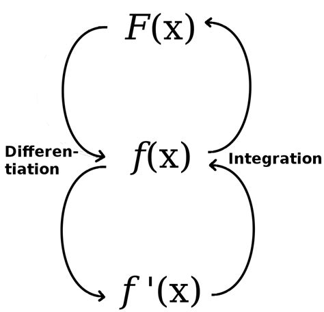 Integrate Vs Differentiate Math Examples