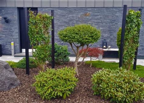 Mose Eg Colortræflis® Sandmanden