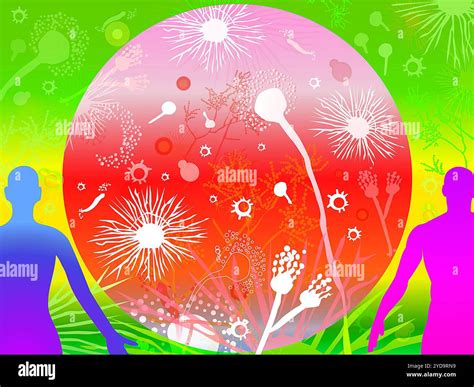 Illustration Featuring Female And Male Forms And Shapes Of Various