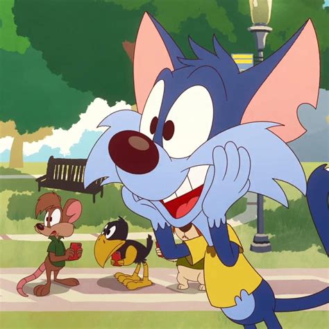 Tiny Toons Looniversity S2 E4 Furrball By Geedirosso On Deviantart