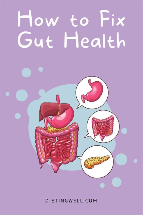 How To Improve Gut Health Artofit